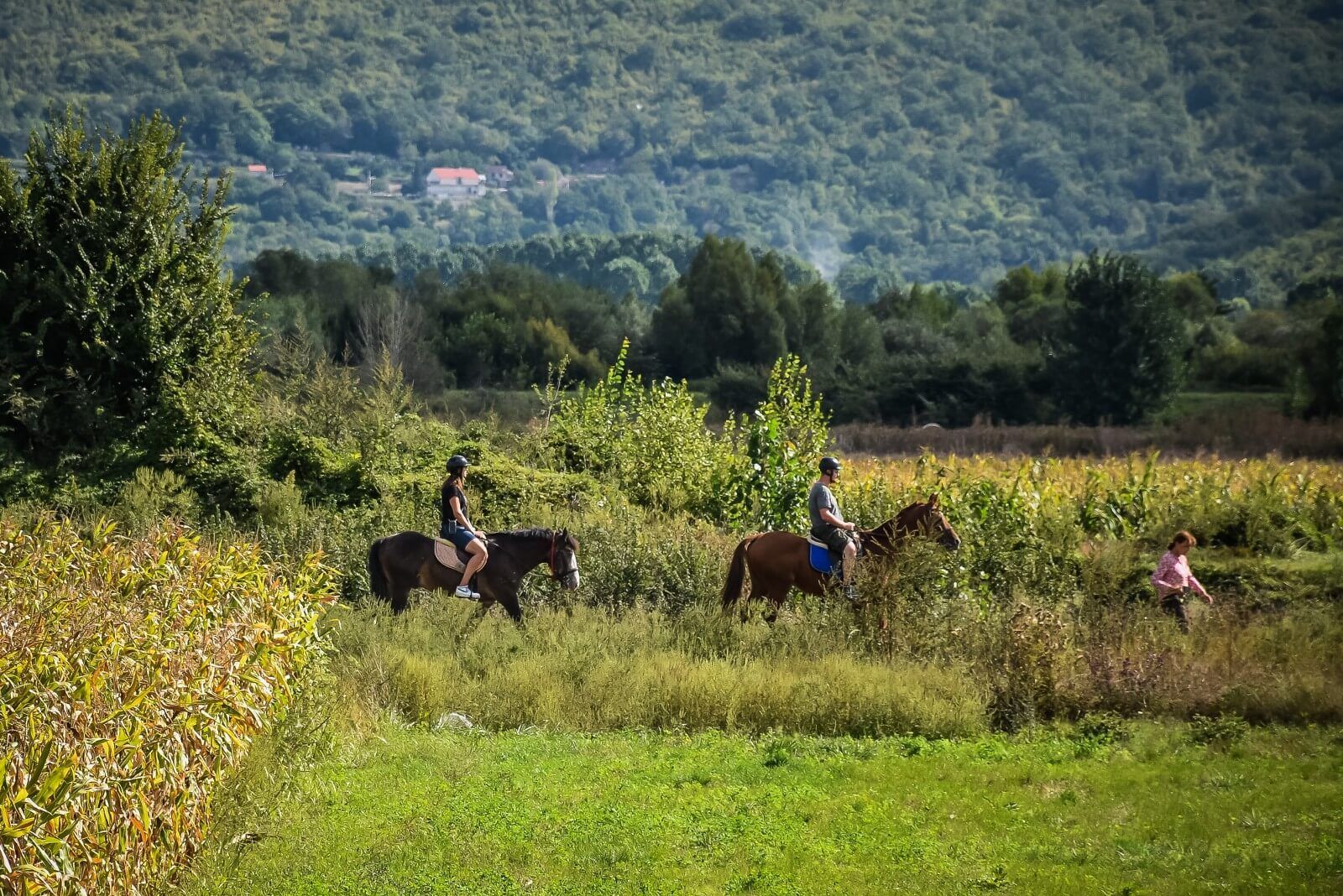 Horseback riding and quad drive | Split Outdoor Adventure